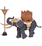 Amazon.com: Rowood 3D Puzzles for Adults, Wooden Model Kits for Kids ...
