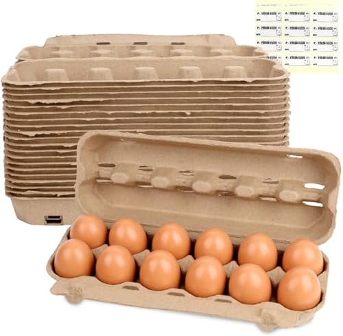 Amazon.com: LOVEINUSA Paper Egg Cartons, 12 Count Cardboard Eggs ...