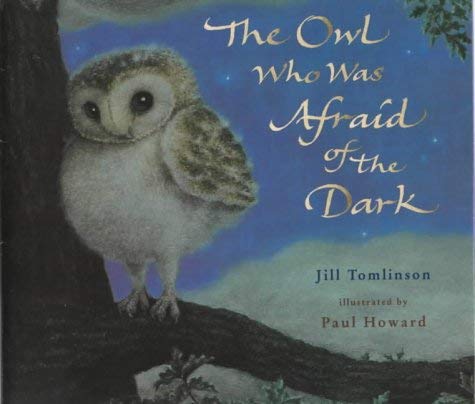 The Owl Who Was Afraid of the Dark (Picture Mammoth): Jill Tomlinson ...