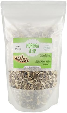 Amazon.com: Semillas de Moringa Oleifera sin OMG PKM1 de alta calidad ...