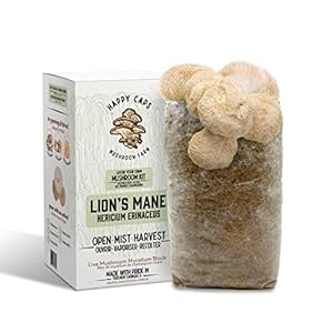 MUSHROOM KITS Archives - Mushroom Kits Canada