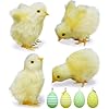 Amazon.com: FULWIS 8 Pcs Chirping Spring Easter Chicks Decor Set 4 Pcs ...