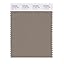 PANTONE Smart 17-1312X Color Swatch Card, Silver Mink - House Paint ...