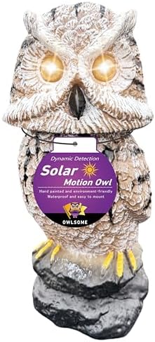 Amazon.com : Owlsome Solar Red Owl with Flashing Eyes, Rotating Head ...