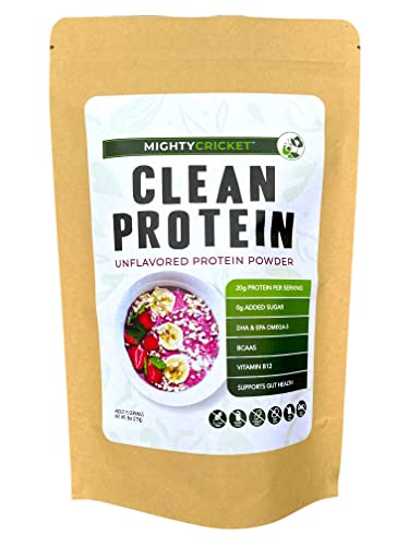 Cricket Flour and Other Insect Protein Powders