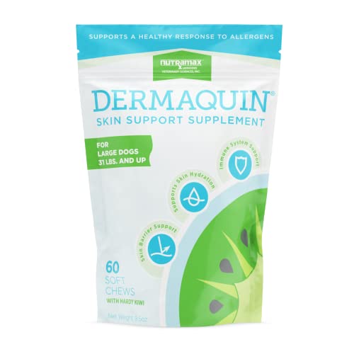 Top 10 Support Supplement For Dogs of 2022 - Katynel