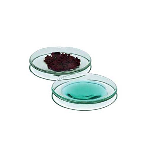 Pyrex 1060/14D Watch Glass, 100 mm (Pack of 10) : Amazon.co.uk ...
