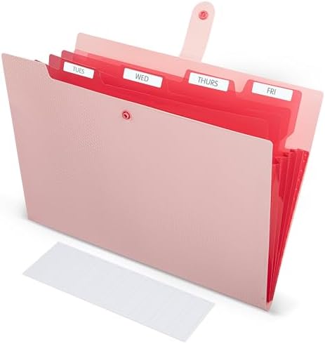 Amazon.com : Essex Wares - Light Pink, 5 Pocket Expanding File Folder ...