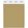 PANTONE SMART 16-1126X Color Swatch Card, Antelope - House Paint ...
