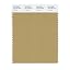 PANTONE Smart 16-1126X Color Swatch Card, Antelope - House Paint ...