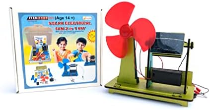 Buy StepsToDo DIY Wooden Human Skeleton Making Learning kit for ...