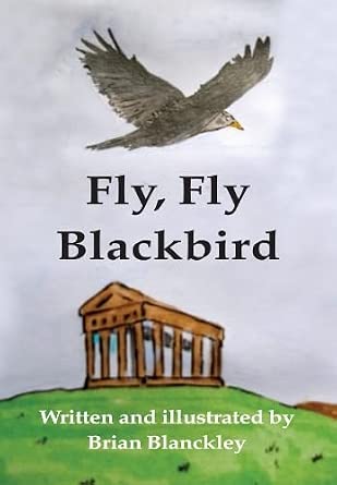 Fly, Fly Blackbird: Amazon.co.uk: Blanckley, Brian: 9781911385486: Books