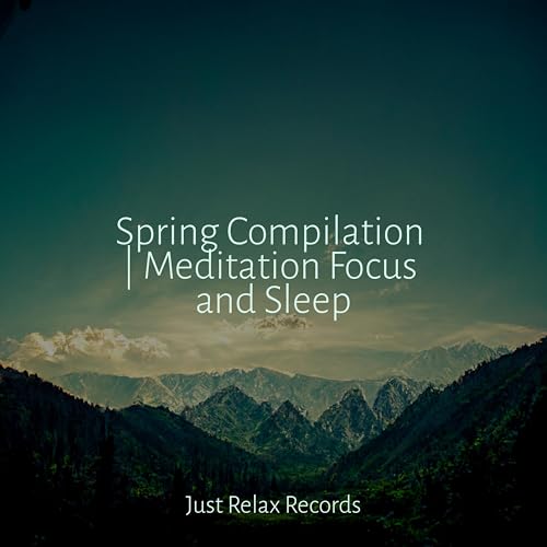 Amazon Music Unlimited - Relaxed Minds, Calm Music for Studying ...