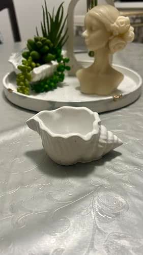 Amazon.com: Conch Shell concrete with candle and pearl, new born baby ...