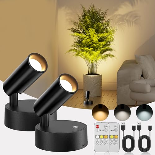 Amazon Best Sellers: Best Spotlight Fixtures