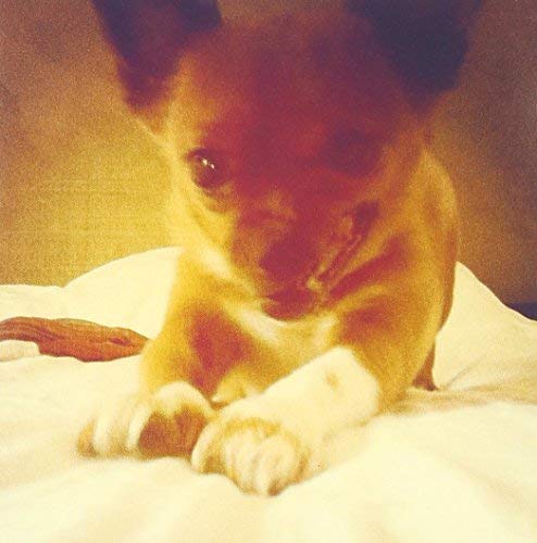 KWON,BONG - Bong Kwon - Amazon.com Music