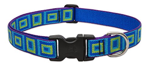 Lupine Dog Collars – The 15 best products compared - Wild Explained