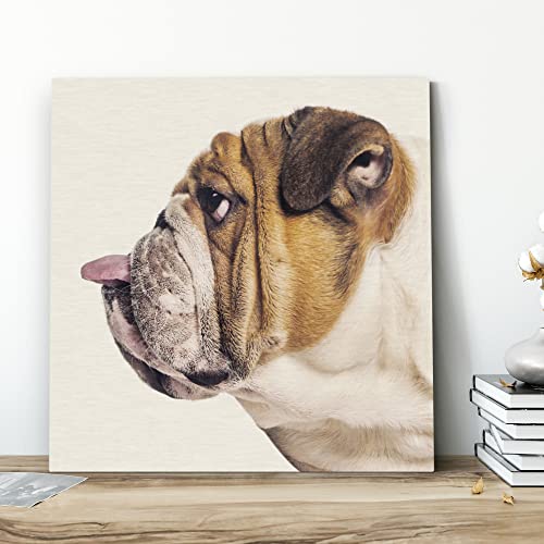 Mejores cuadros con fotos personalizadas baratos | Me pica la curiosidad
