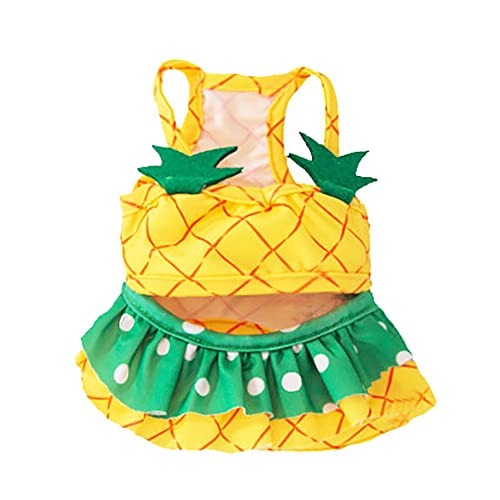 Dog Bathing Suit – The 15 best products compared - Wild Explained