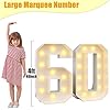 Amazon.com : 4ft Marquee Light up Numbers 60 Mosaic Numbers Frame for ...