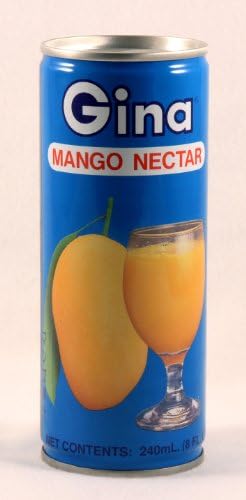 Amazon.com : Gina Mango Nectar 240ml (10 Pack) : Fruit Juices : Grocery ...