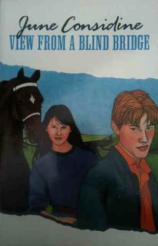 View from a Blind Bridge: June Considine: 9781853712449: Amazon.com: Books