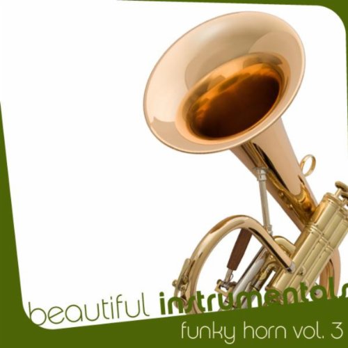 Amazon.com: Beautiful Instrumentals: Funky Horn Vol. 3 : Gabor Kristof ...