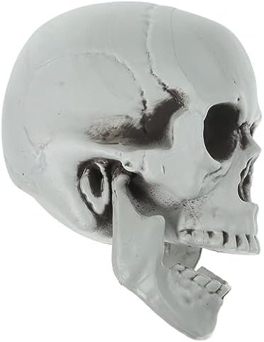Amazon.com: MAGICLULU 1Pcs Table Top Skeleton Head Skull Head Model ...