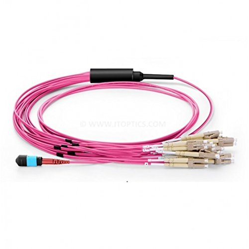 Amazon.in: Buy 24 Fiber MPO Break-Out Patch Cable with MPO (F) and 10 x ...