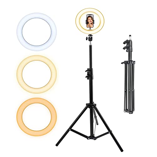 Los 10 Mejores Modelos De Aro De Luz Para Celular