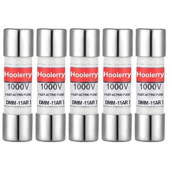 5 Pcs Hoolerry Digital Multimeter Fuse Dmm-11A 11A 1000V DMM ...