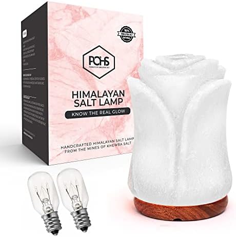 Amazon.com: Spantik Beautiful Flower Shape Himalayan Salt Lamp ...