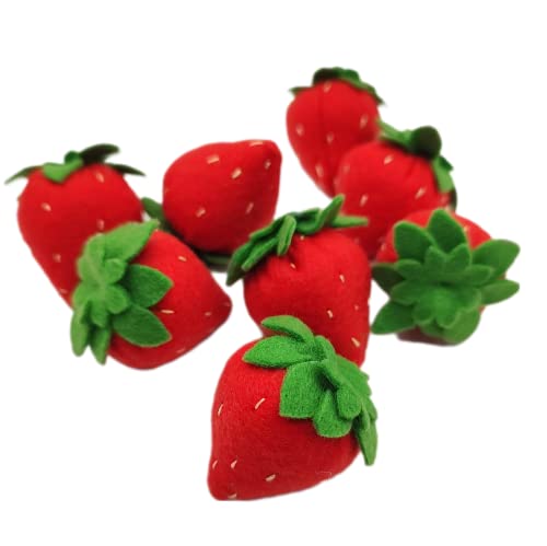 Amazon.com: Strawberry felt play food, plush berries, decor for ...