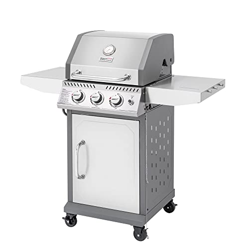 The 8 Best Stainless Steel Grills - Guide