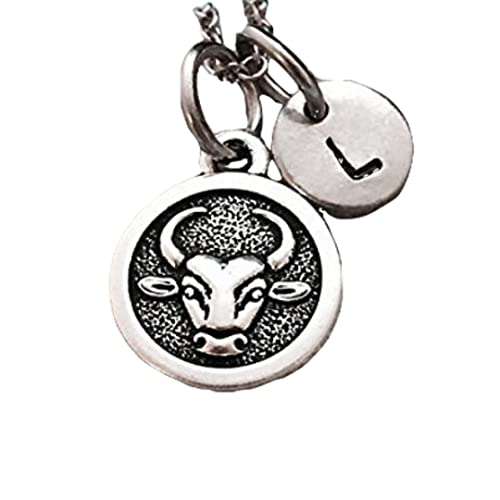 Amazon.com: Taurus necklace, taurus charm, horoscope necklace ...