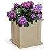 Amazon.com : Fairfield Patio Planter, 20 by 20-Inch, Clay : Planter ...