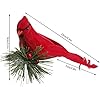 Amazon.com: GREENWISH 10Pcs Red Birds Cardinal Clip on Christmas Tree ...