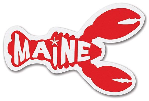 Amazon.com - Maine Sticker USA State Decal for Wall, Laptop, Cell ...