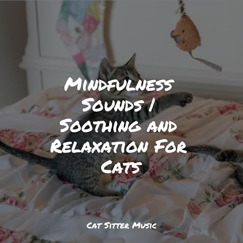 Écouter Mindfulness Sounds | Soothing and Relaxation For Cats par Music ...