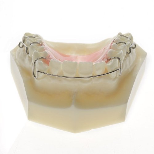 Amazon.com: New Dental Orthodontics Treatment Teeth Retainer Study ...