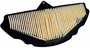 Amazon.com: Air Filter Replaceable For NINJA ZX10R 2008 2009 2010 ZX ...