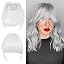 Elailite Postiche Frange a Clip Extension de Cheveux Lisse - Clips in ...