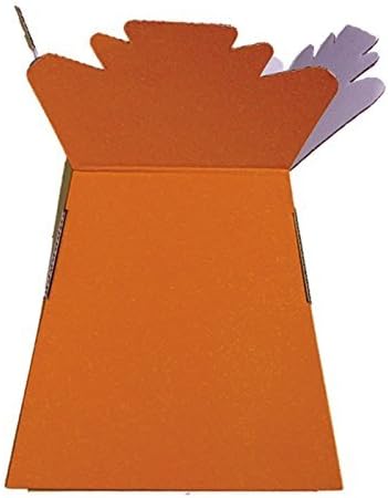 APAC Orange Living Vase Flower Box Flower Bouquet Transporter, Sweet ...