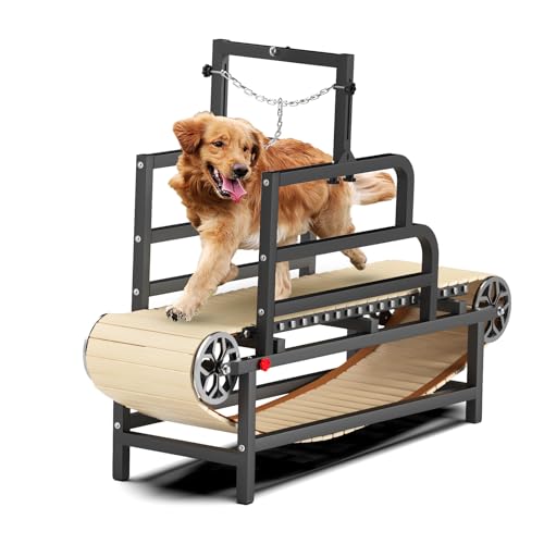 Amazon Best Sellers: Best Dog Treadmills