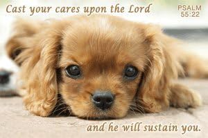 Amazon.com: Pass It On Message Cards... Cast Your Cares Upon the Lord ...