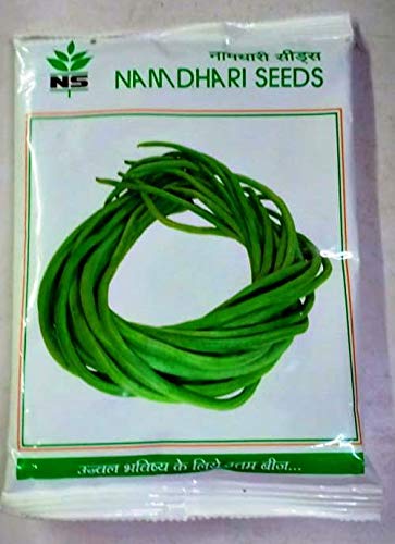 Bhaskar Agro Sales Corporation Namdhari Seeds India Yard Long Beans ...