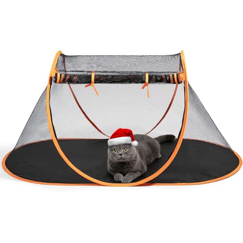 Get Your Kitty Raving: Top 10 Petco Cat Tents Reviewed and Buying Guide ...