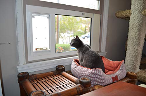 The 14 Best Endura Flap Dog Doors of 2026 [Verified] - Cherry Picks