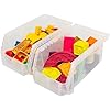 Amazon.com: ReadySpace Plastic Containers for Organizing and Storage ...