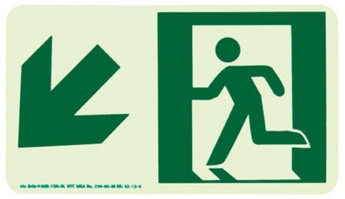 Sign, Directional Exit Sign with a Down/Left Arrow, 8"x4.5", Green ...